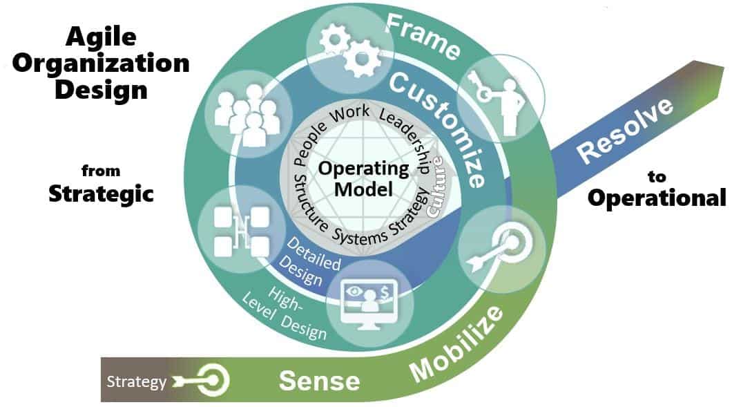 Agile Organization Design Accelerates Adoption and Implementation | LBL ...